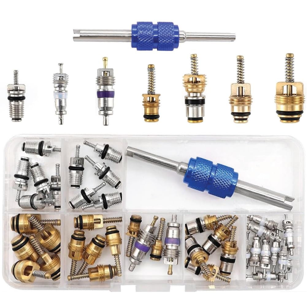 Car Air Conditioning Repair | A/C Valve Core Kit & AC Removal | Install ...