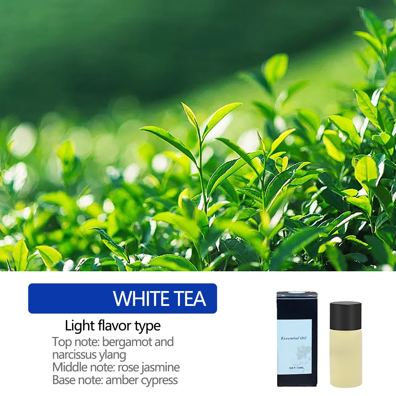 Car Air Freshener Spray | Natural Plant Extracts | Long Lasting ...