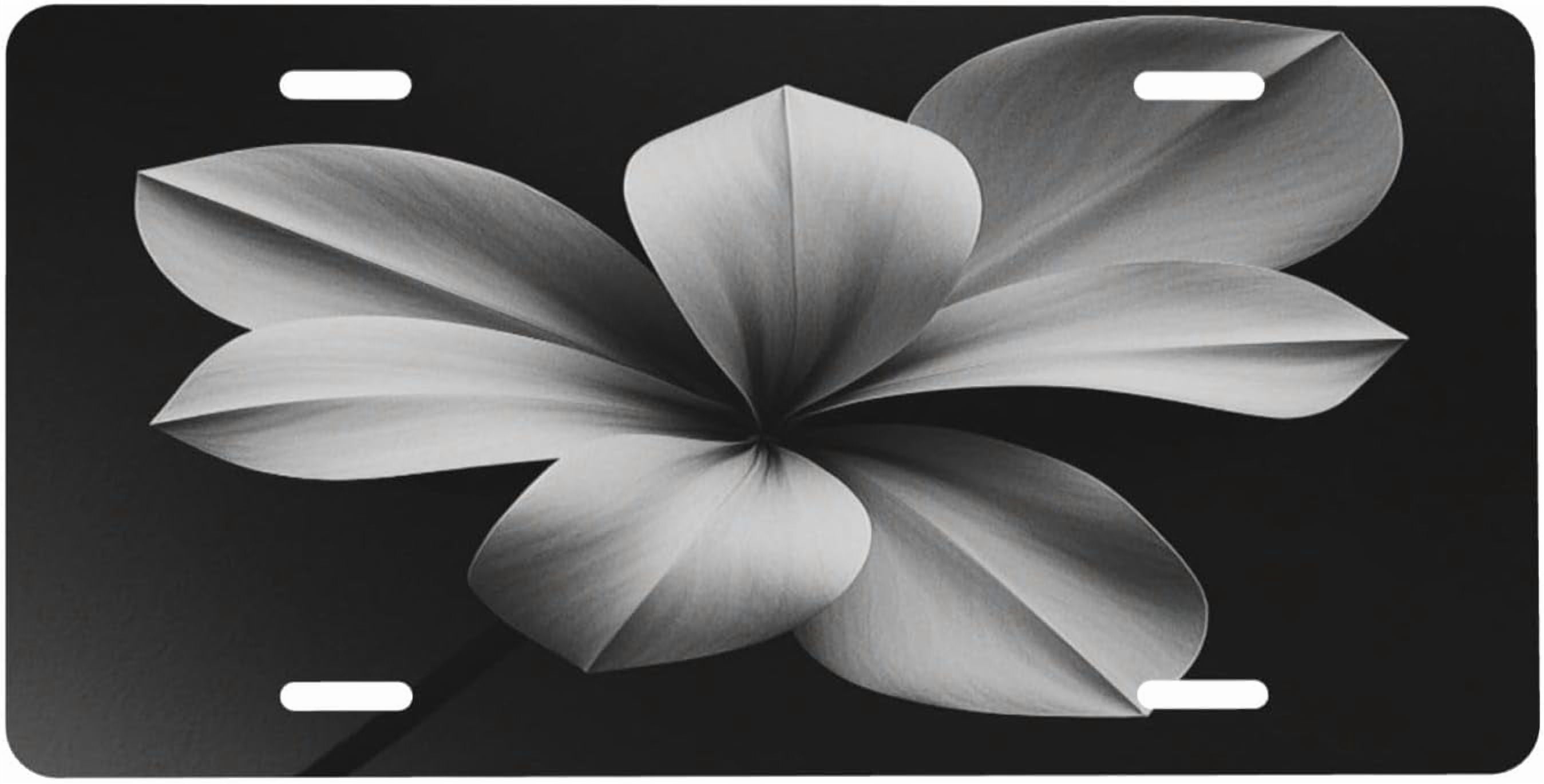 Car Front Plate Alpaca License Front License Plates Personalized Car ...