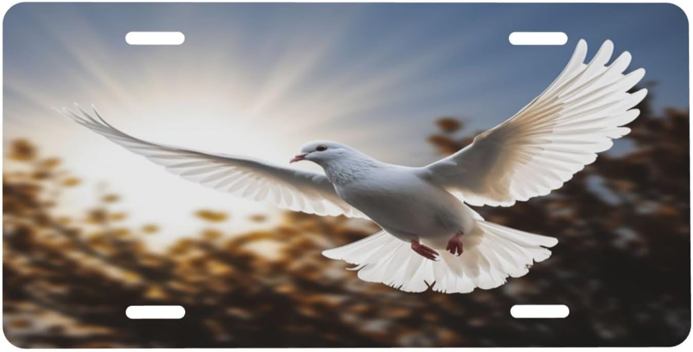 Car Front Plate White Dove Flying in The Sun License Front License ...