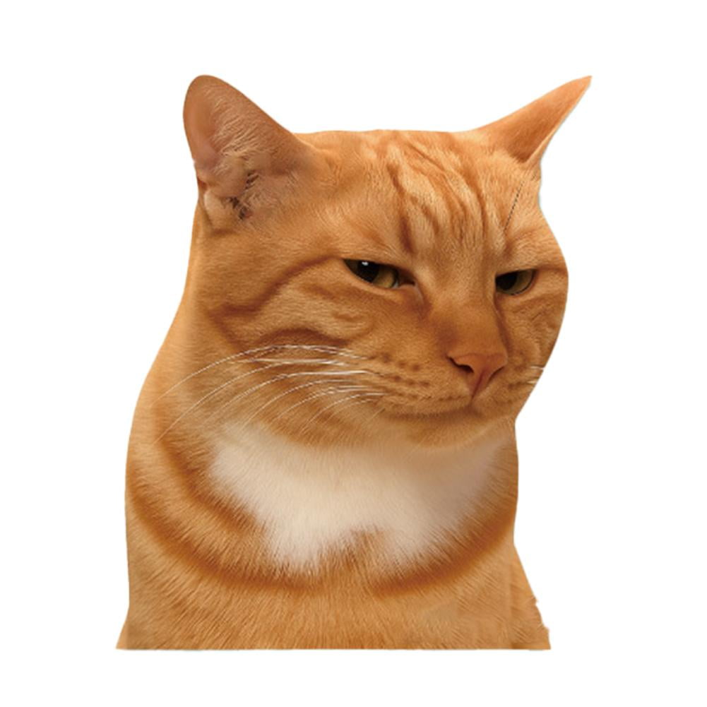 Car Funny Cat Meme Sticker, The Cat Meme Sticker Decal Waterproof, Cute ...