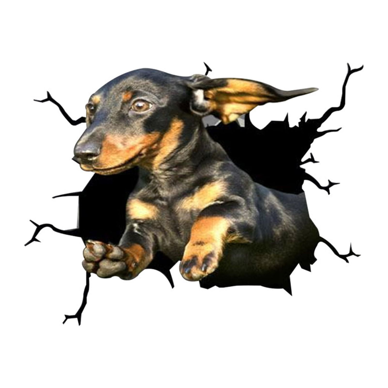 Car Funny Stickers Realistic Exquisite Pattern Simulation Pet Crack ...