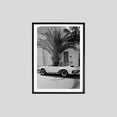 Car Parked Under Palm Trees Black and White Classic Car Sports Car ...