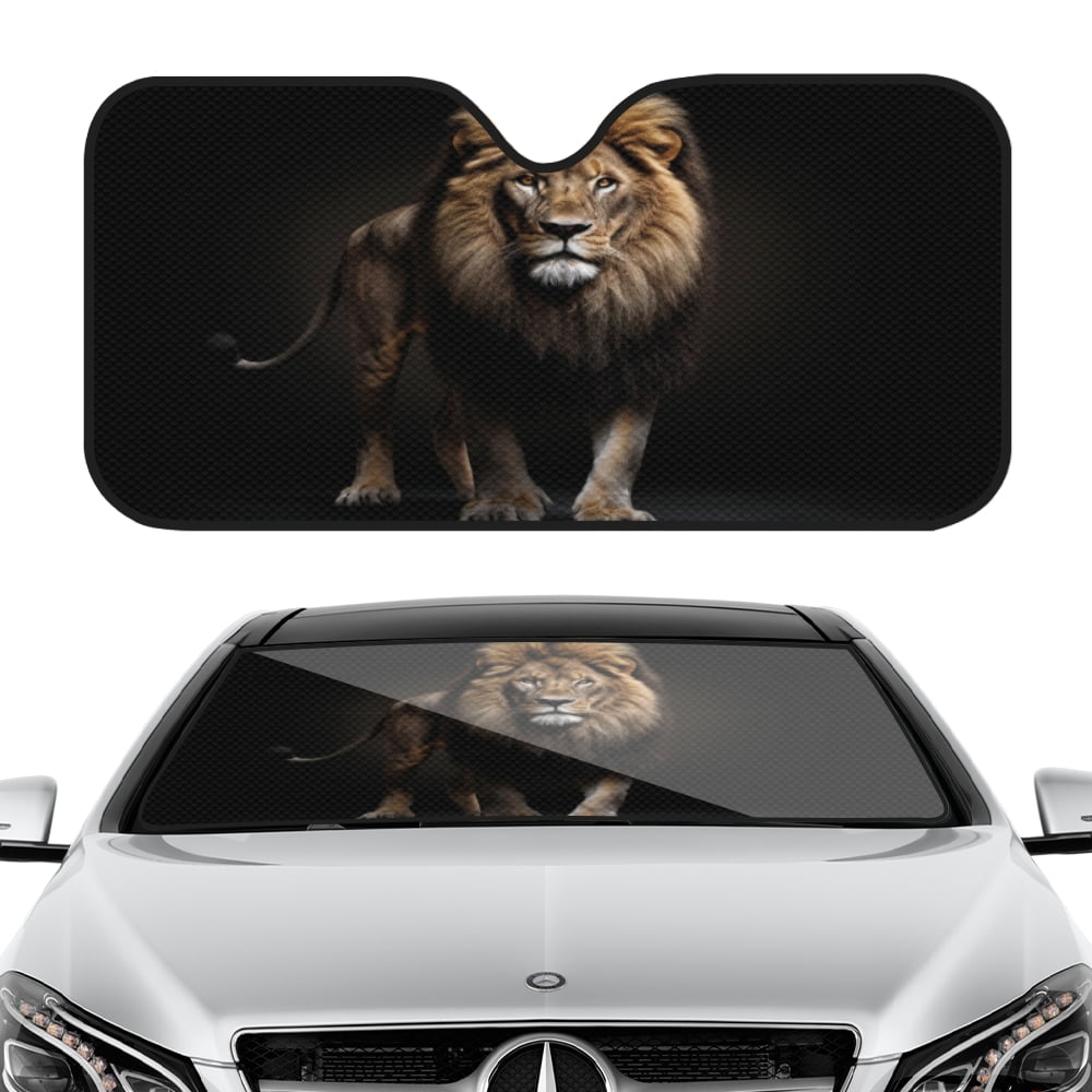 Car Windshield Sun Shade, 55x30 Inch UV Protection Sun Visor for Front ...