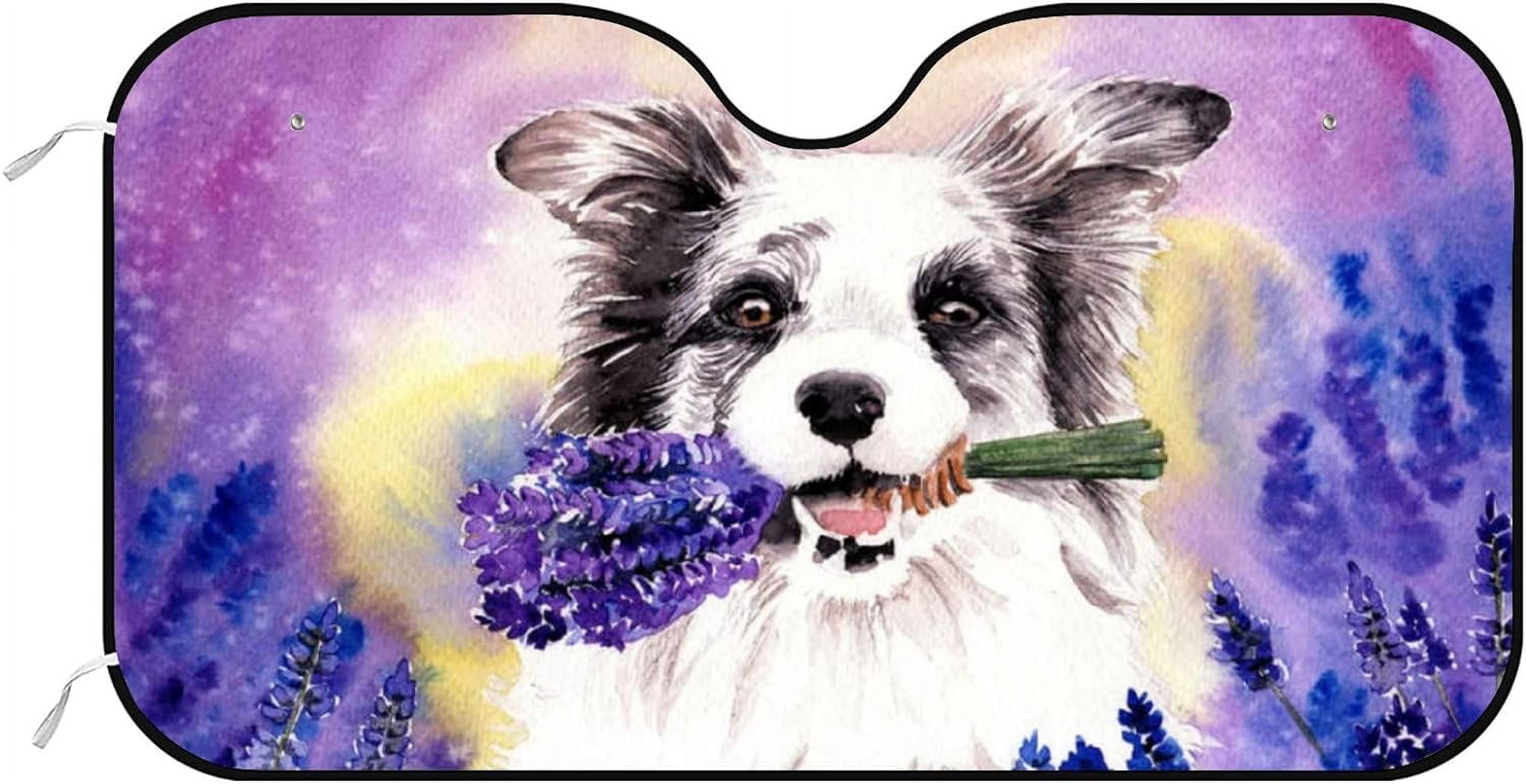 Car Windshield Sunshade Blocks Sun Visor Protector Border Collie Dog ...