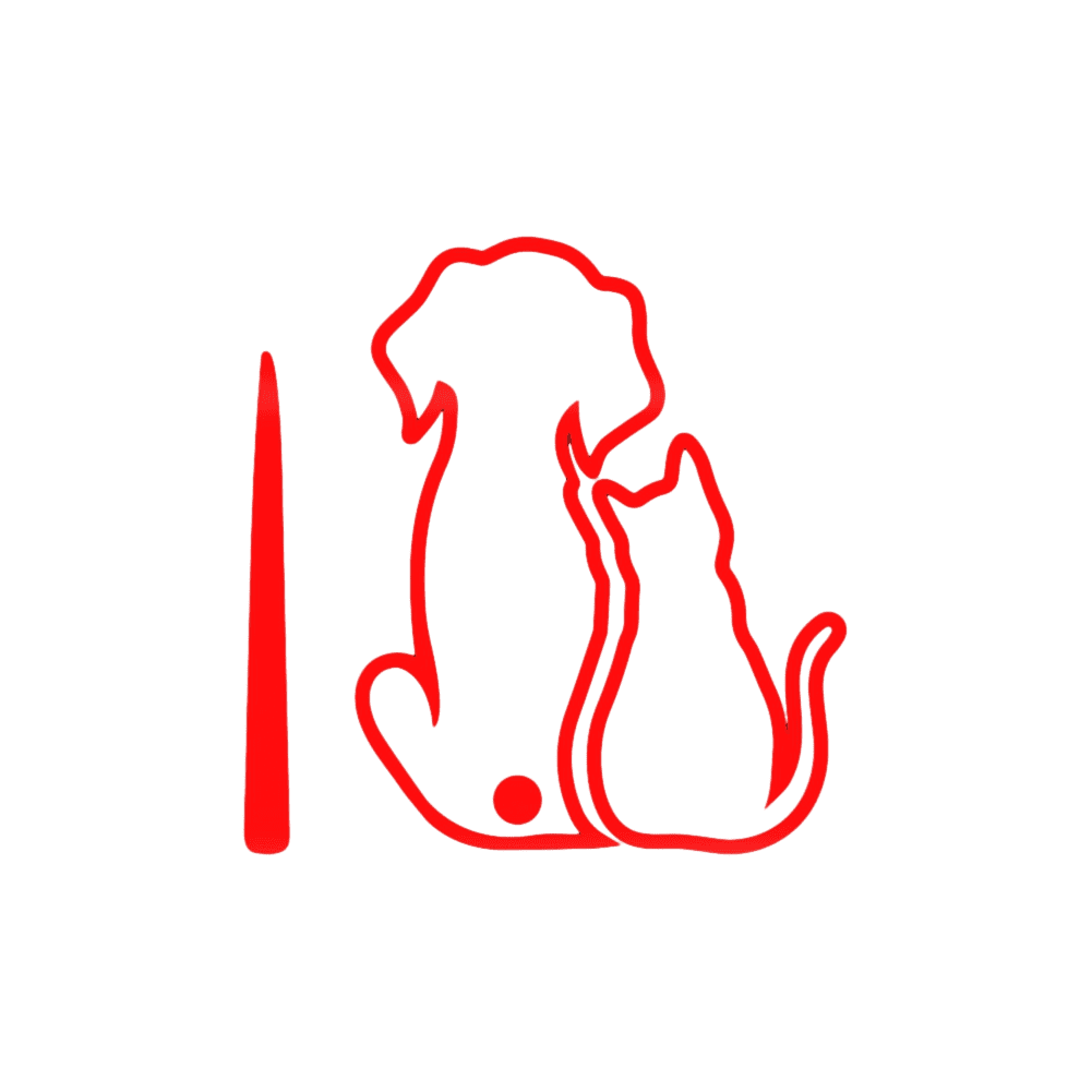 Car Wiper Stickers Rear Windshield Cartoon Cats Dogs Decorative Decals ...