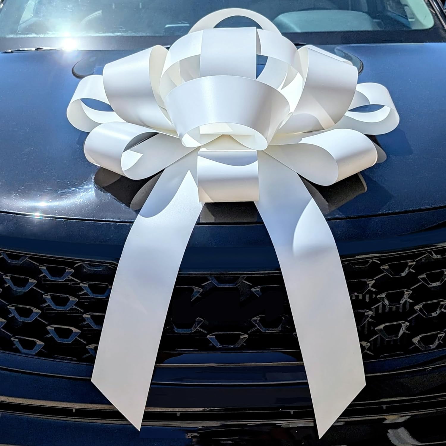 CarBowz Big Car Bow, Giant Bow, Non Scratch Magnet, Weather Resistant ...