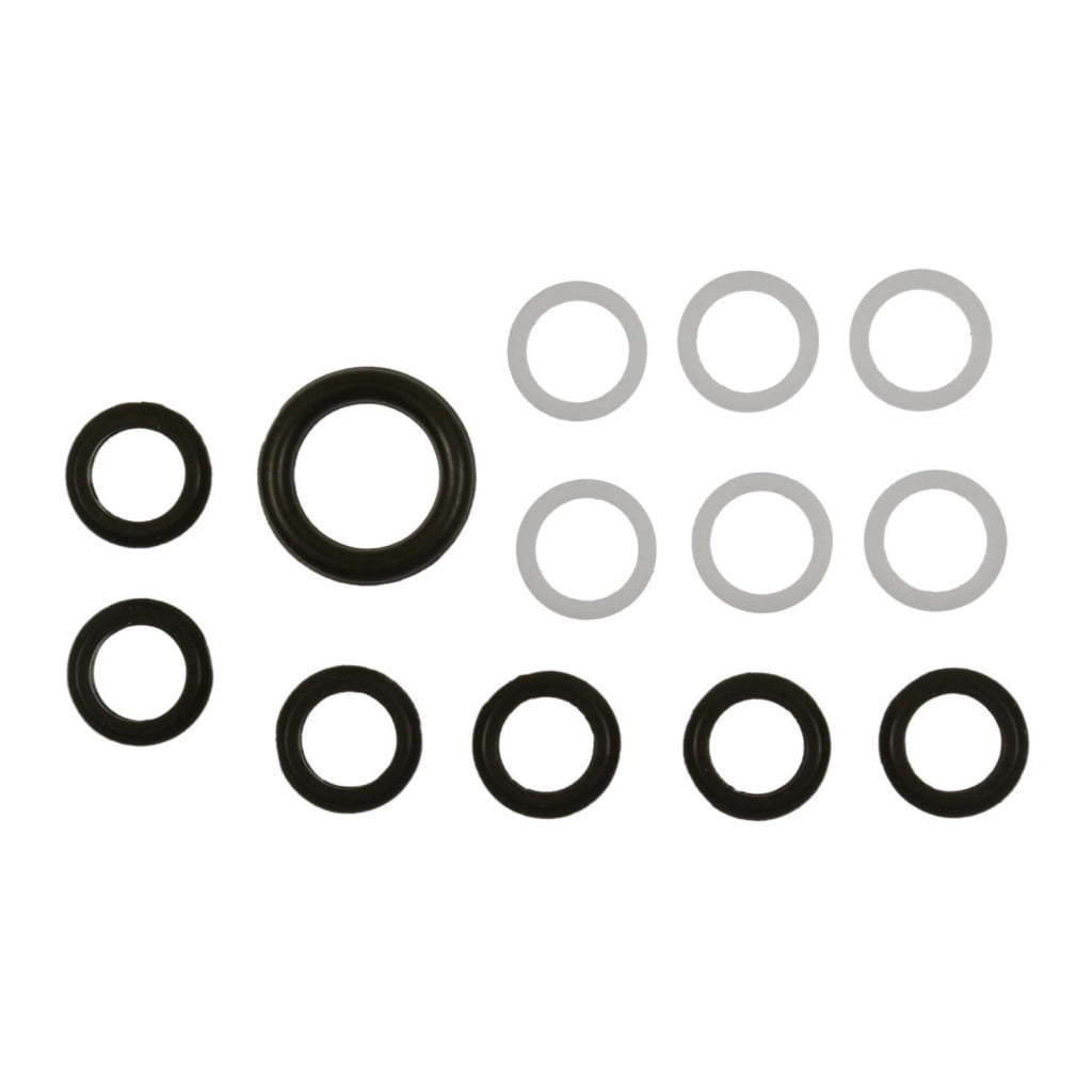 CarLights360 For Navistar 4900/3000RE 2005 Fuel Rail O-Ring Set | Black ...