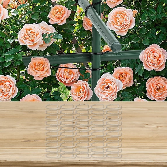 CaraMart Metal Connecting Buckles for Effective Plant Support Garden ...