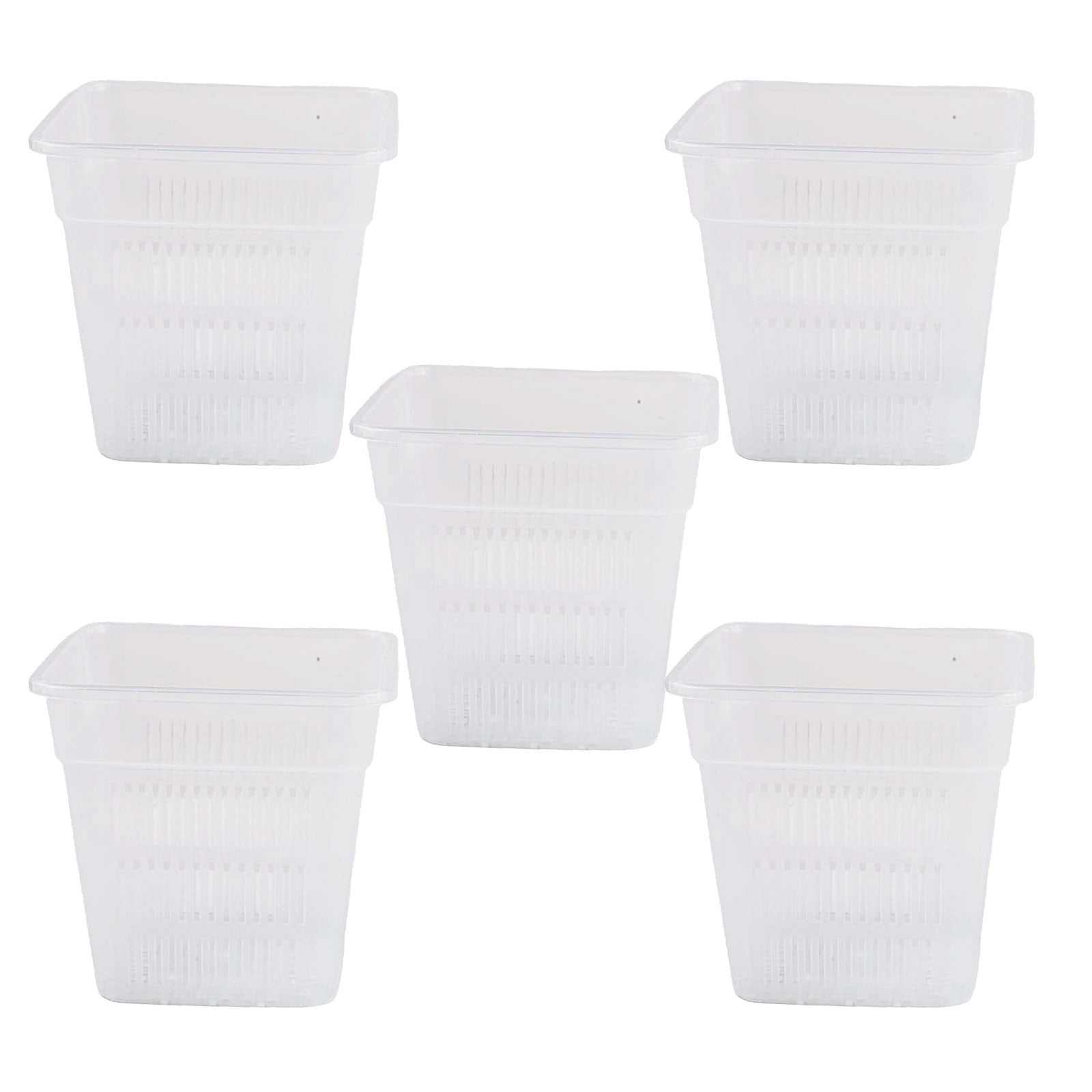 CaraMart Root Observation Square Pot Designed for Optimal For plant ...
