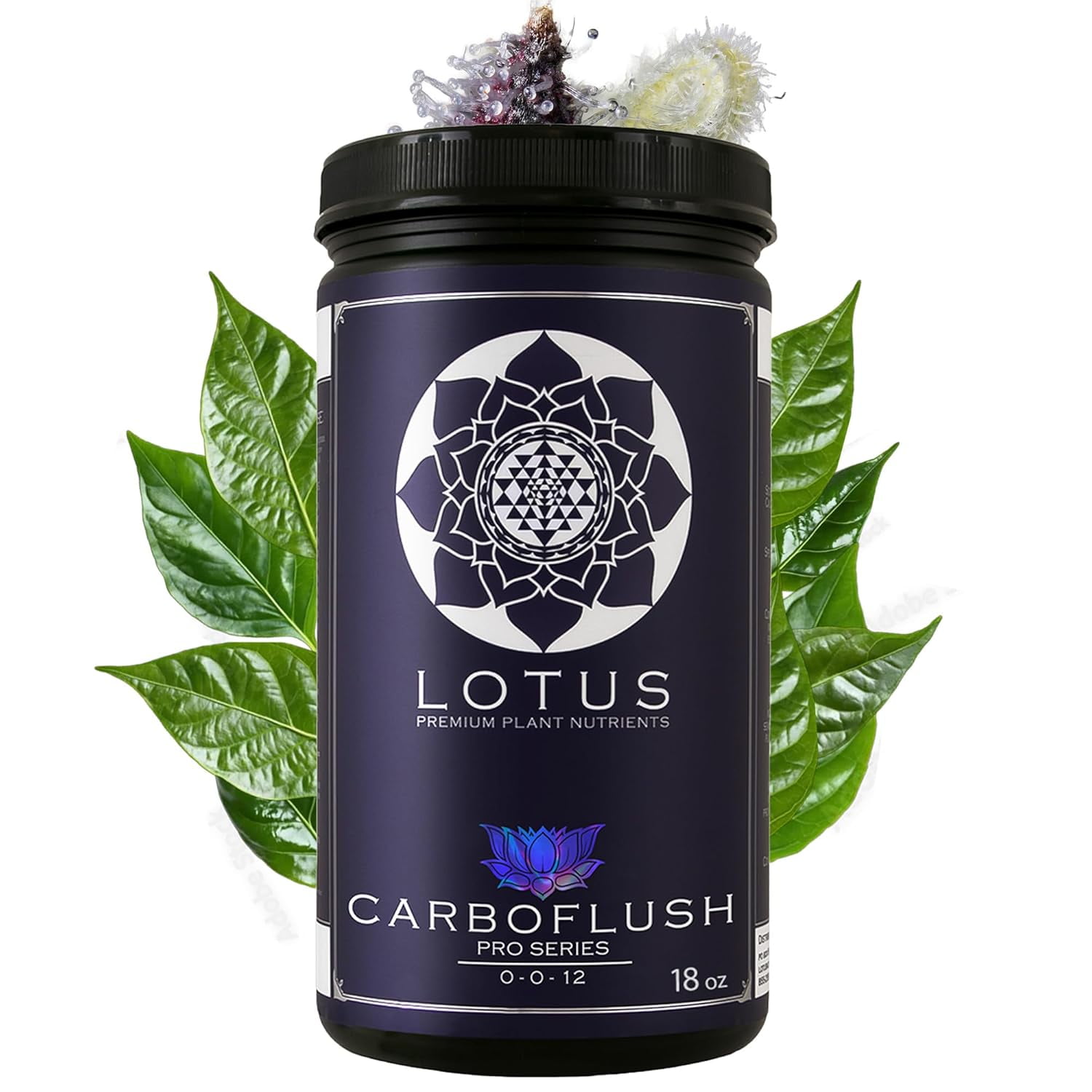 Carboflush Pro Series - Harvest Flavor Enhancer, Naturally Derived ...
