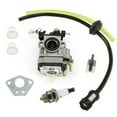 Carburetor Kit For 62Cc 65Cc For Mtm Baumr-Ag Whipper Snipper Hedge ...