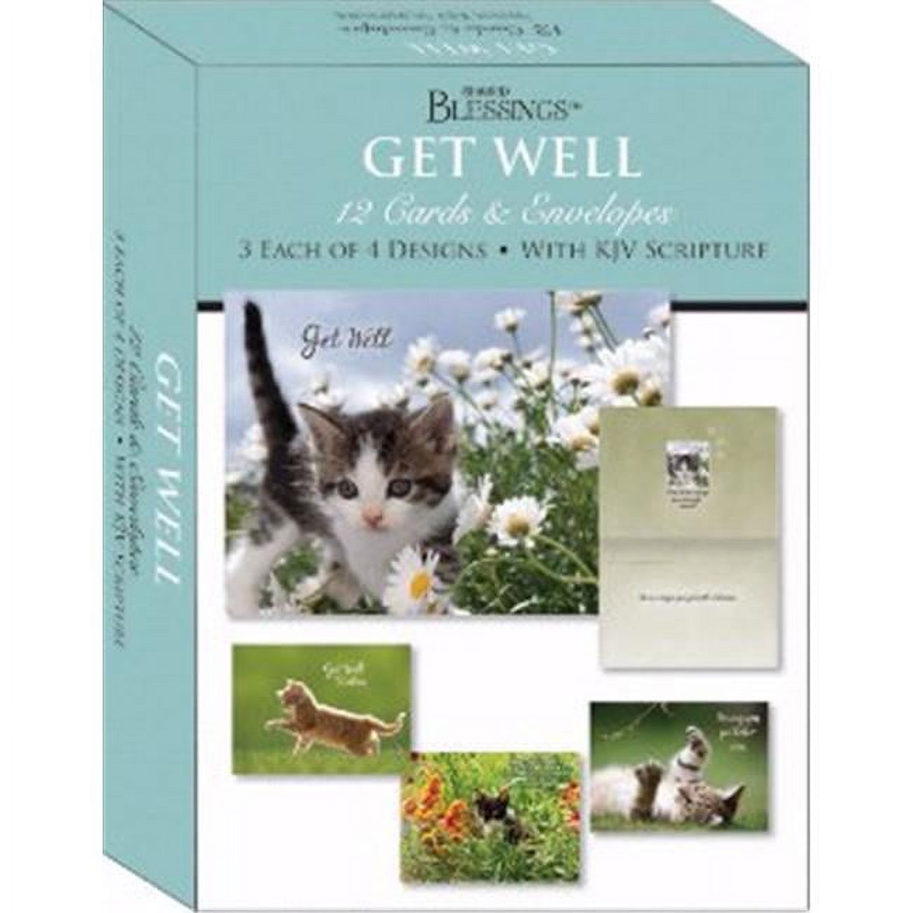 Card-Boxed-Shared Blessings-Get Well Kittens Playing (Box Of 12 ...