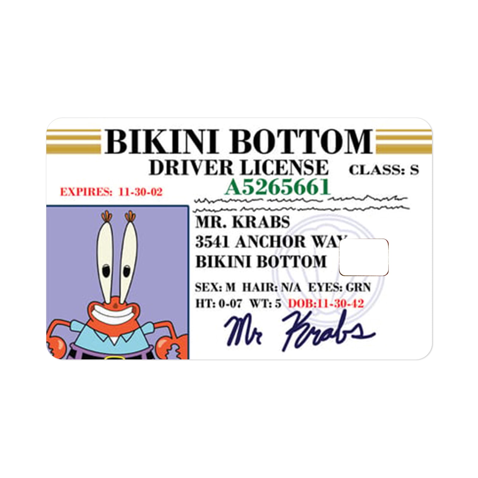 Card Skin Sticker For EBT, Transportation, Key, Credit, Debit Card Skin ...