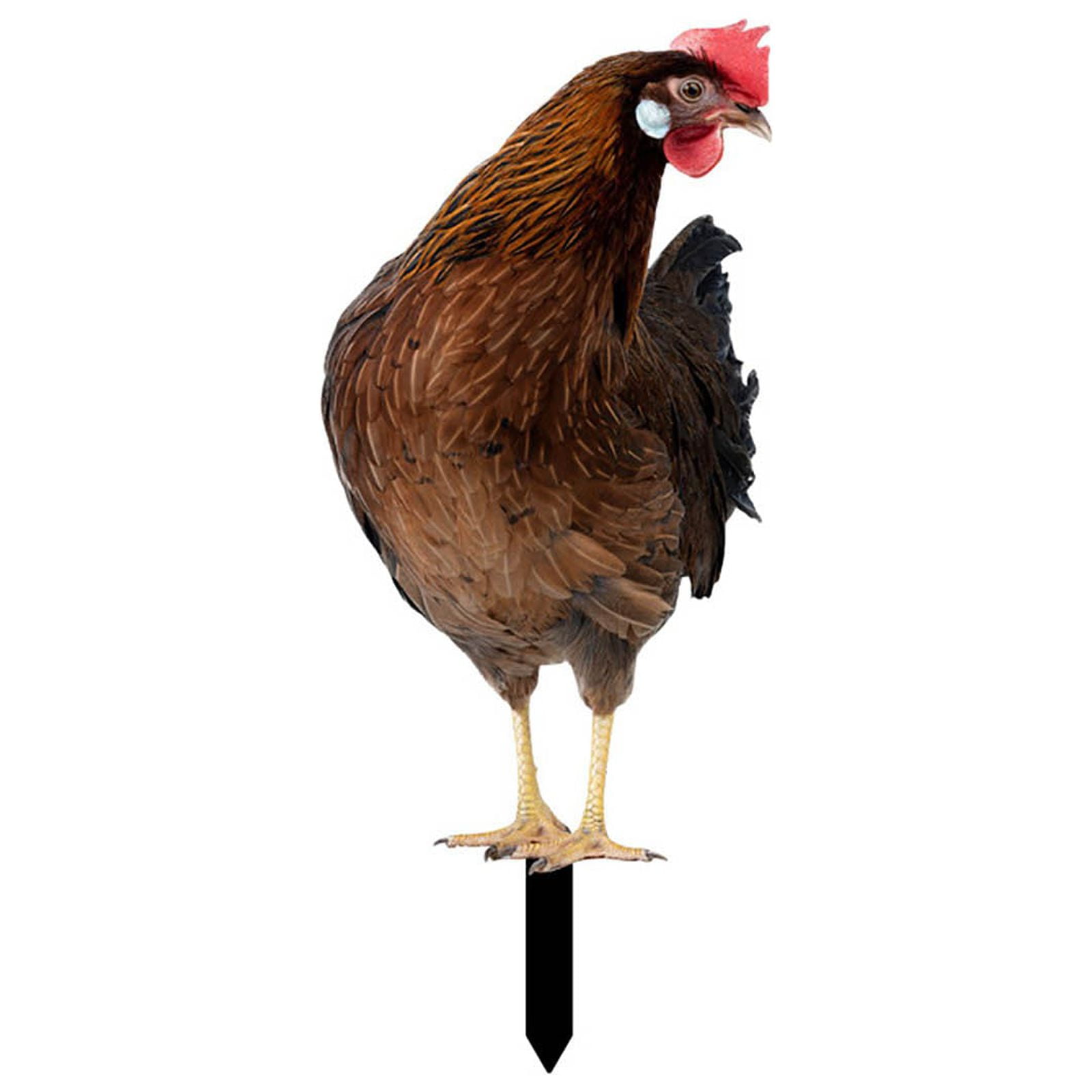 Card Slot, Clearance! Fenull Cock and Hen Garden Ground Plug D ...