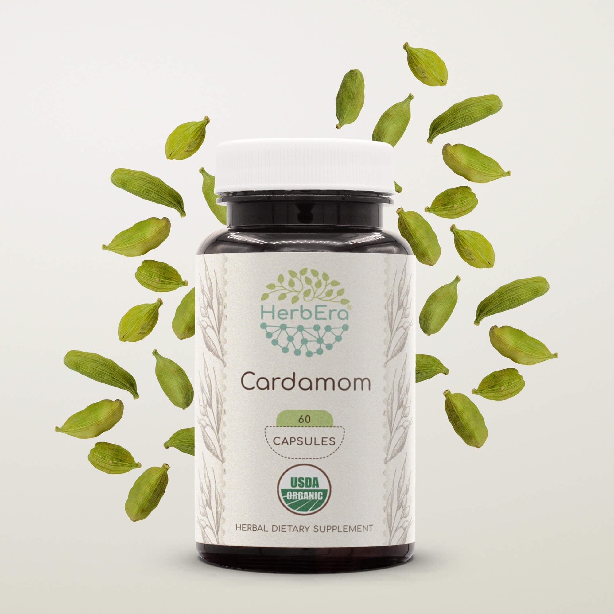HerbEra Cardamom Capsules, Organic Herbal Dietary Supplement for ...