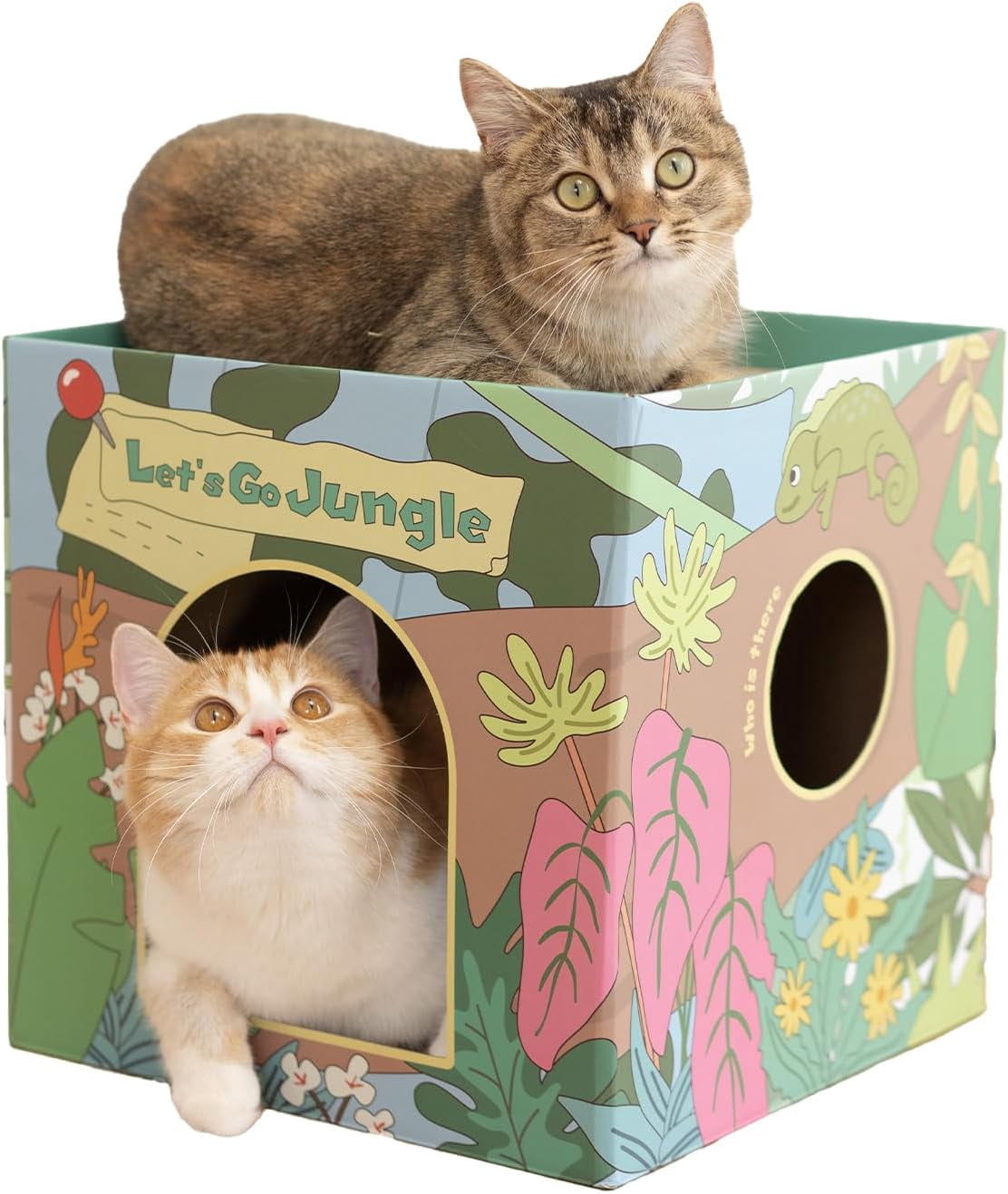 Cardboard Cat House, Colorful Printed Scratcher Furniture, with 2 ...