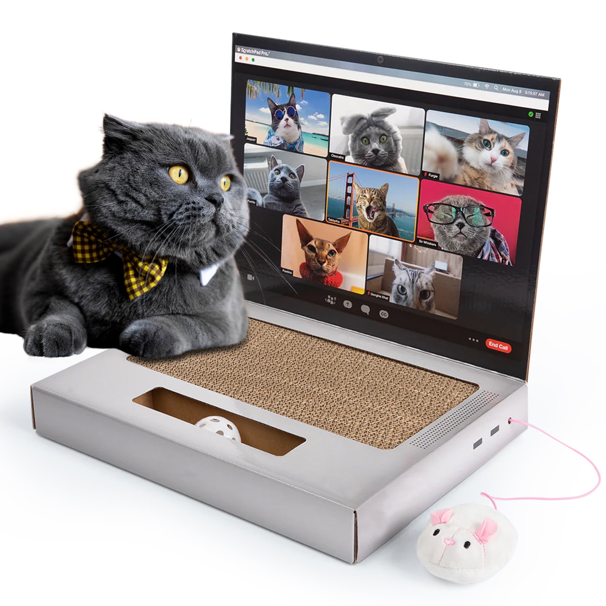 Cardboard Cat Scratcher Laptop for Cats- Includes Catnip and Stickers ...