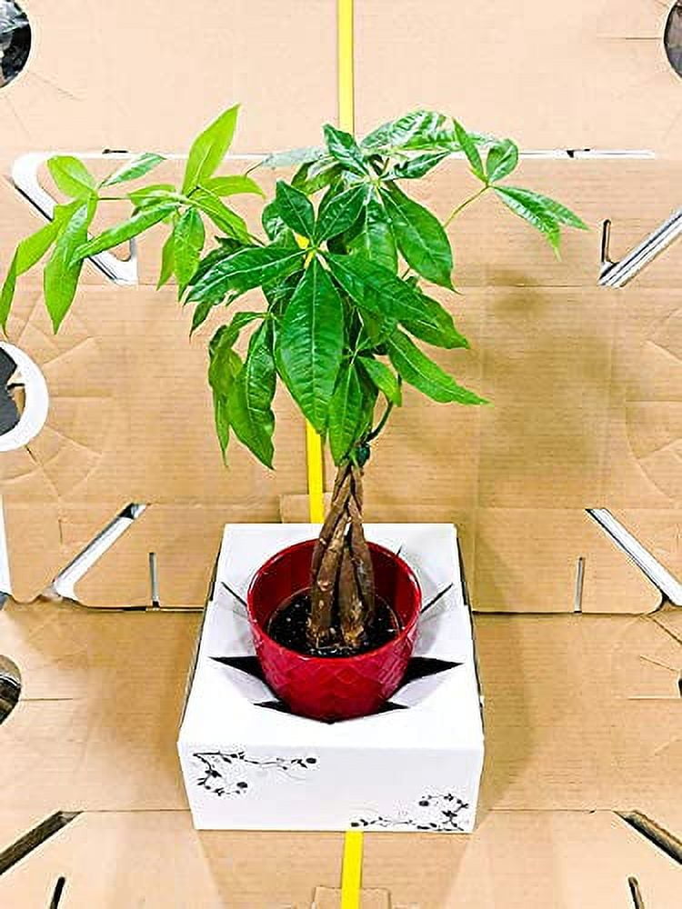 Cardboard Delivery Boxes l Flower Delivery Box l Vase Boxes Cardboard ...