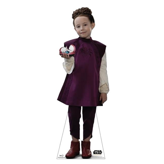 Advanced Graphics 3945 52 x 18 in. Princess Leia Cardboard Cutout ...