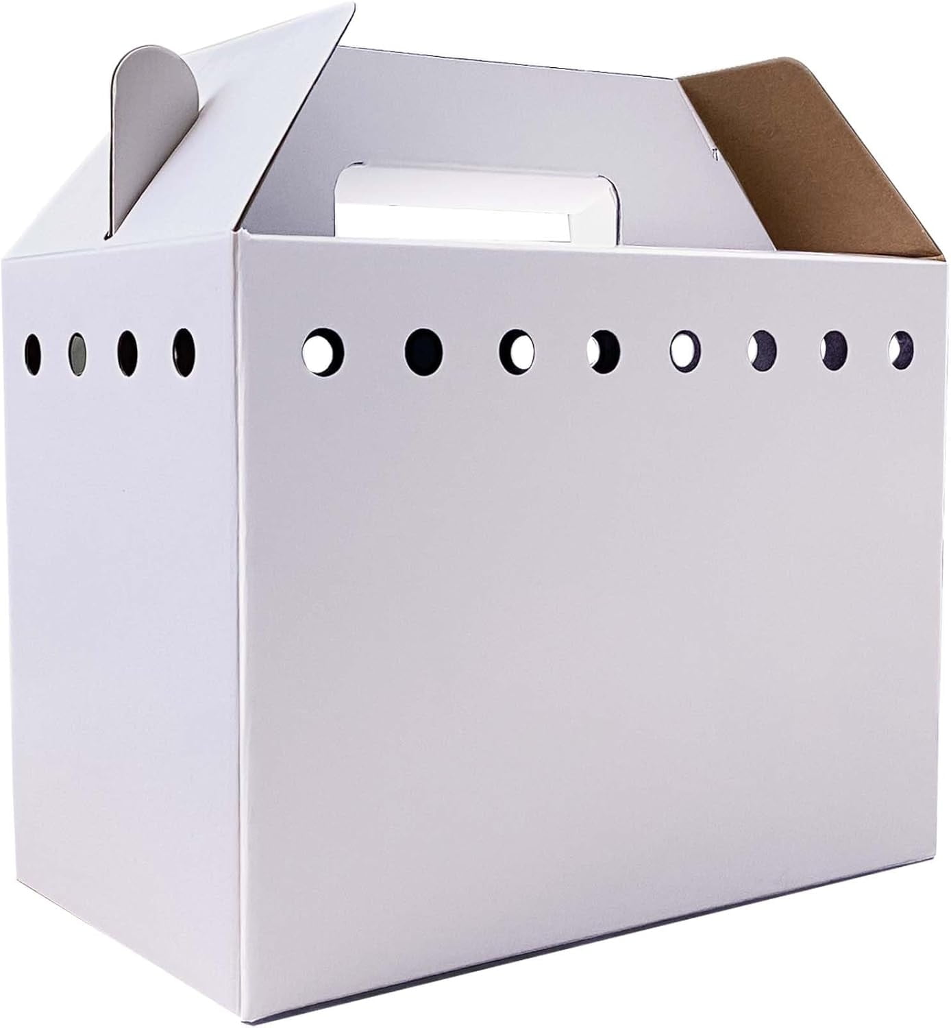 Cardboard Pet Carriers for Small Animals, Hamsters, Gerbils, Birds ...