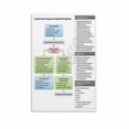 Cardiac Arrest in Pregnancy ACLS Algorithm Poster Obstetric Emergency ...