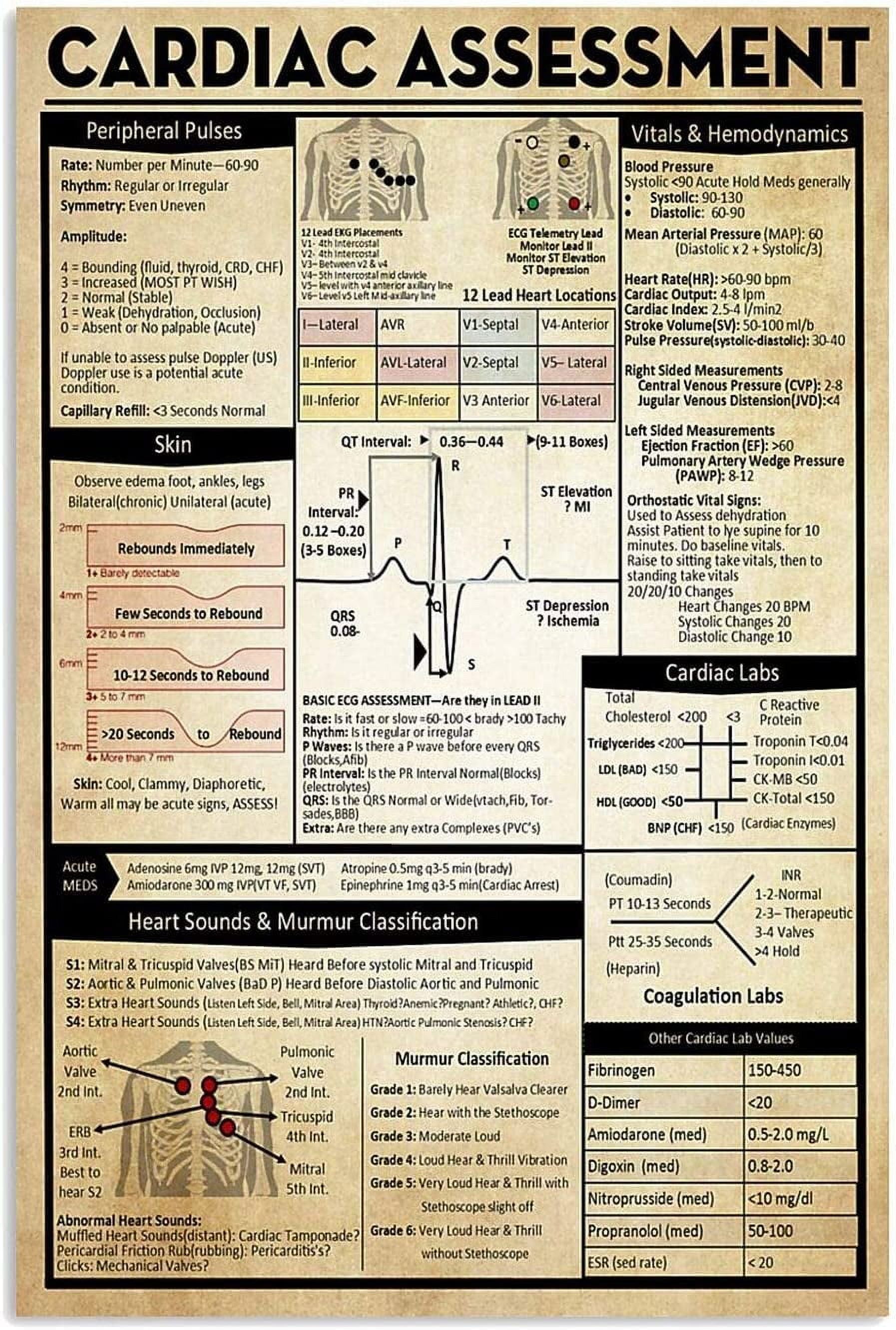 Cardiac Assessment Overview Metal Signs Cardiologist Knowledge Retro ...