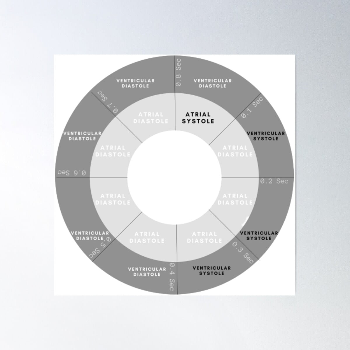 Cardiac Cycle , Heart Poster Wall Art, Modern Wall Decor For Living ...