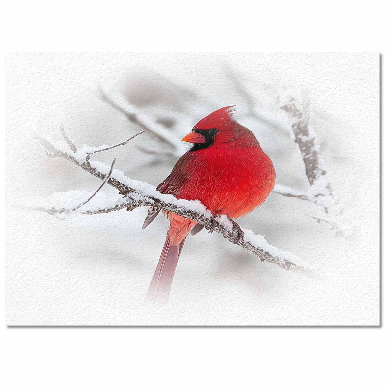 Cardinal Bird Area Rug 4x6ft Christmas Winter Non-Slip Washable Square ...