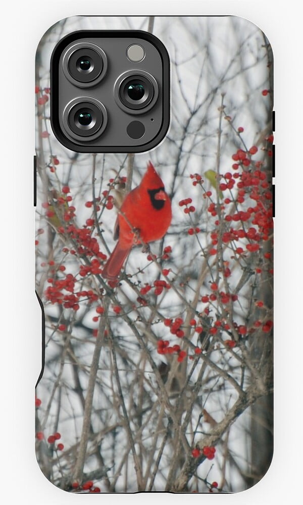 Cardinal Bird Phone Case for iPhone 16 15 14 13 12 11 Pro Max - Walmart.com
