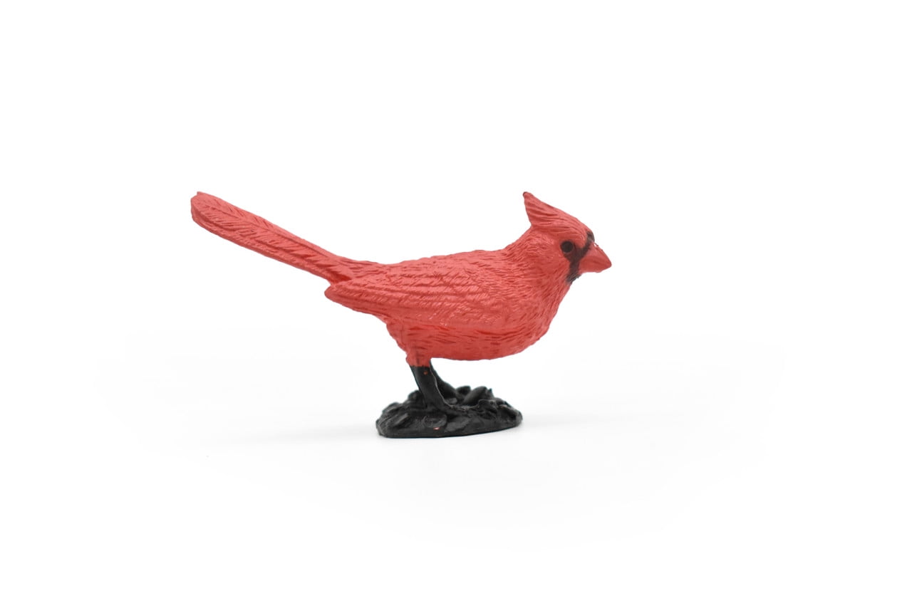 Cardinal Bird, Very Nice Rubber Bird, Educational, Realistic, Hand ...