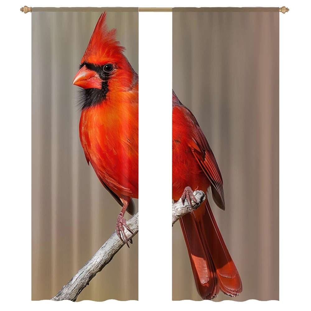 Cardinal Bird Winter Greenery Modern Tulle Window Curtains for Living ...