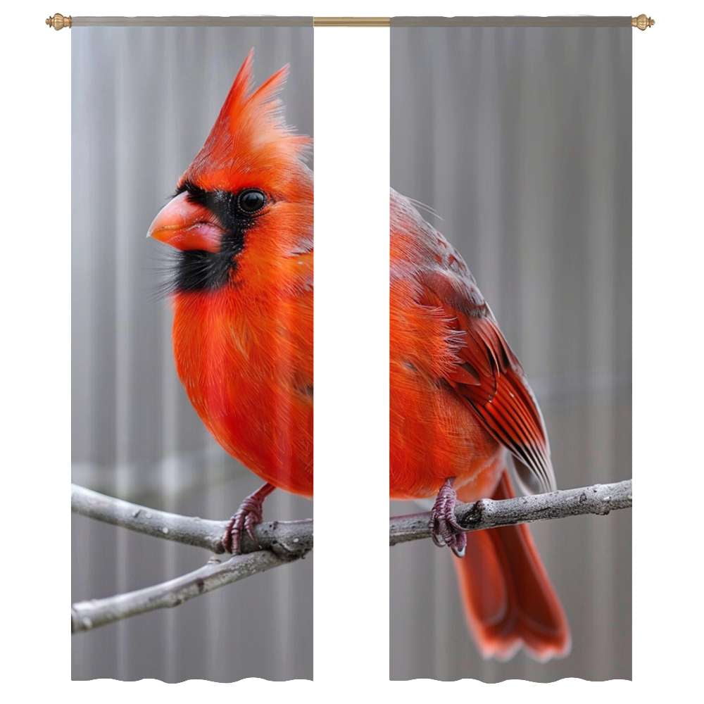 Cardinal Bird Winter Greenery Modern Tulle Window Curtains for Living ...
