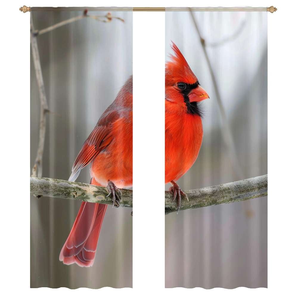 Cardinal Bird Winter Greenery Modern Tulle Window Curtains for Living ...