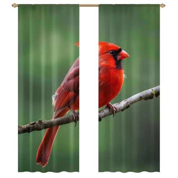 Cardinal Bird Winter Greenery Tulle Curtains For Living Room Chiffon ...