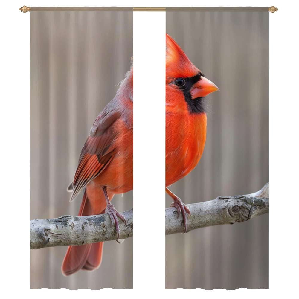 Cardinal Bird Winter Greenery Tulle Curtains For Living Room Chiffon ...