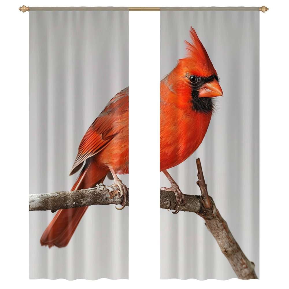 Cardinal Bird Winter Greenery Tulle Curtains For Living Room Chiffon ...