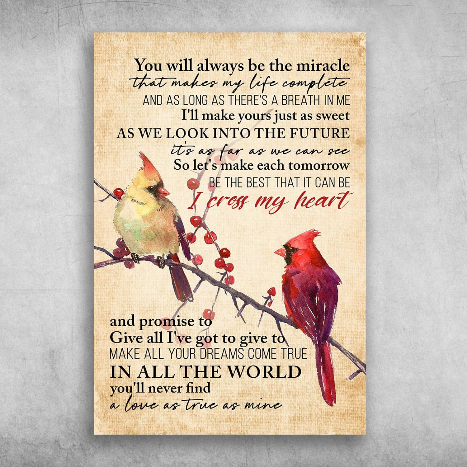Cardinal Bird - You Will Always Be The Miracle, That Makes My Life ...
