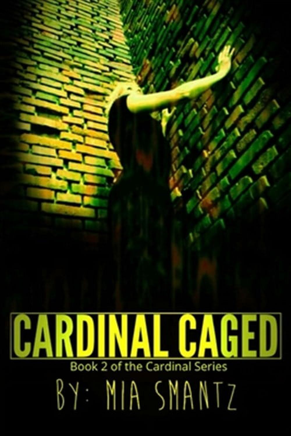 Cardinal Caged: Reverse-Harem Series - Walmart.com