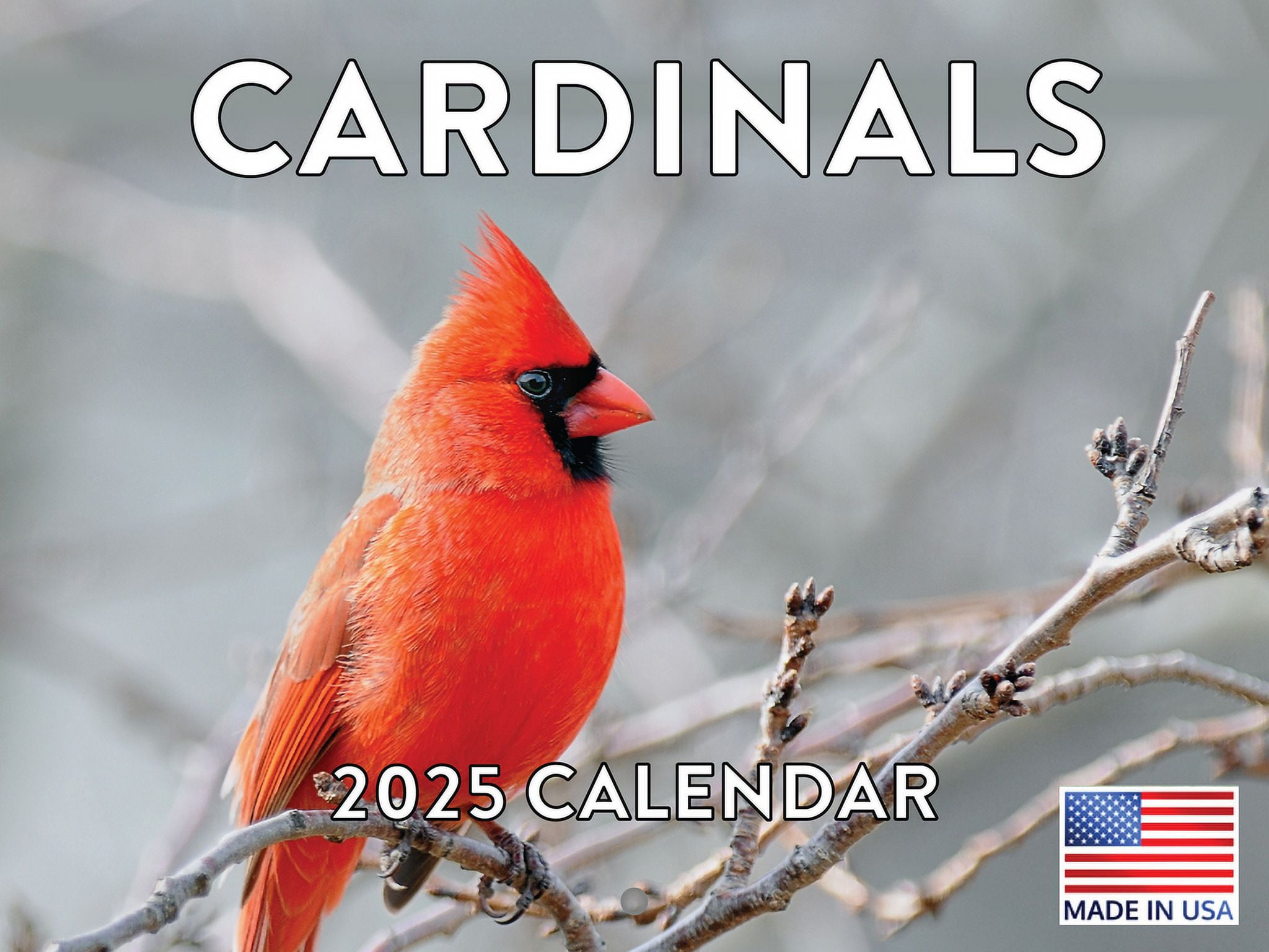 Cardinal Calendar 2025 Cardinals Monthly Wall Calender 12 Month ...