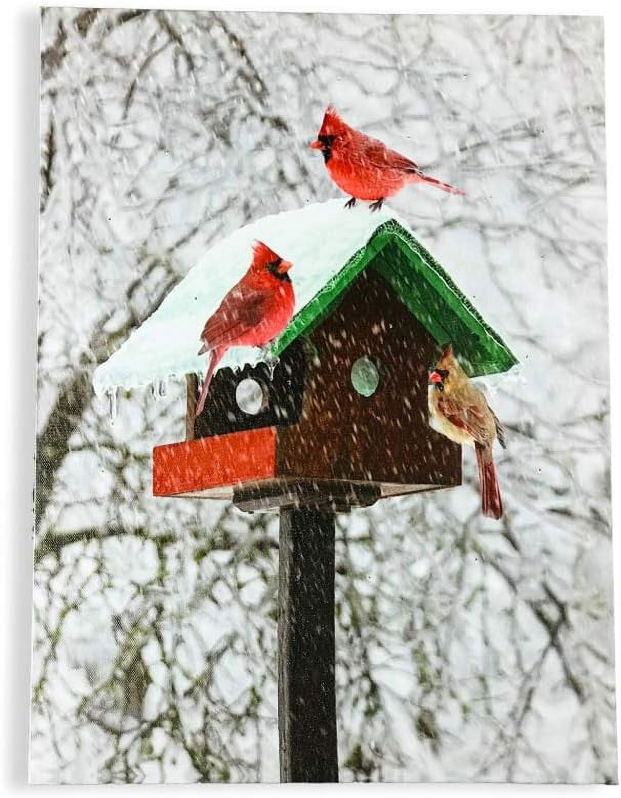 Cardinal Canvas Wall Art - Lighted Snow Scene with on house - LED ...