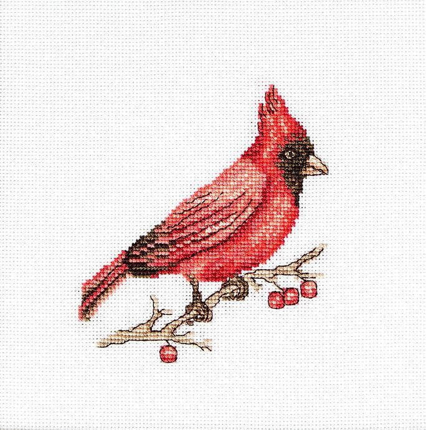 Cardinal Cross Stitch Kit B1156 - Walmart.com