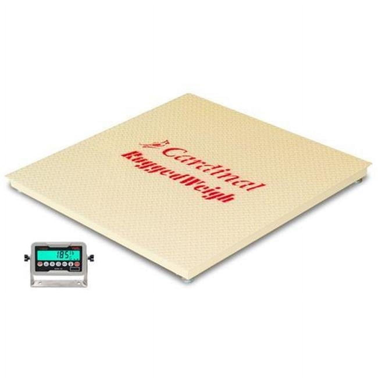 Detecto 4 x 4 ft. 10000 lbs 185 Indicator Electronic Echelon EH Floor Scale - Walmart.com