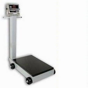 Detecto Scales
