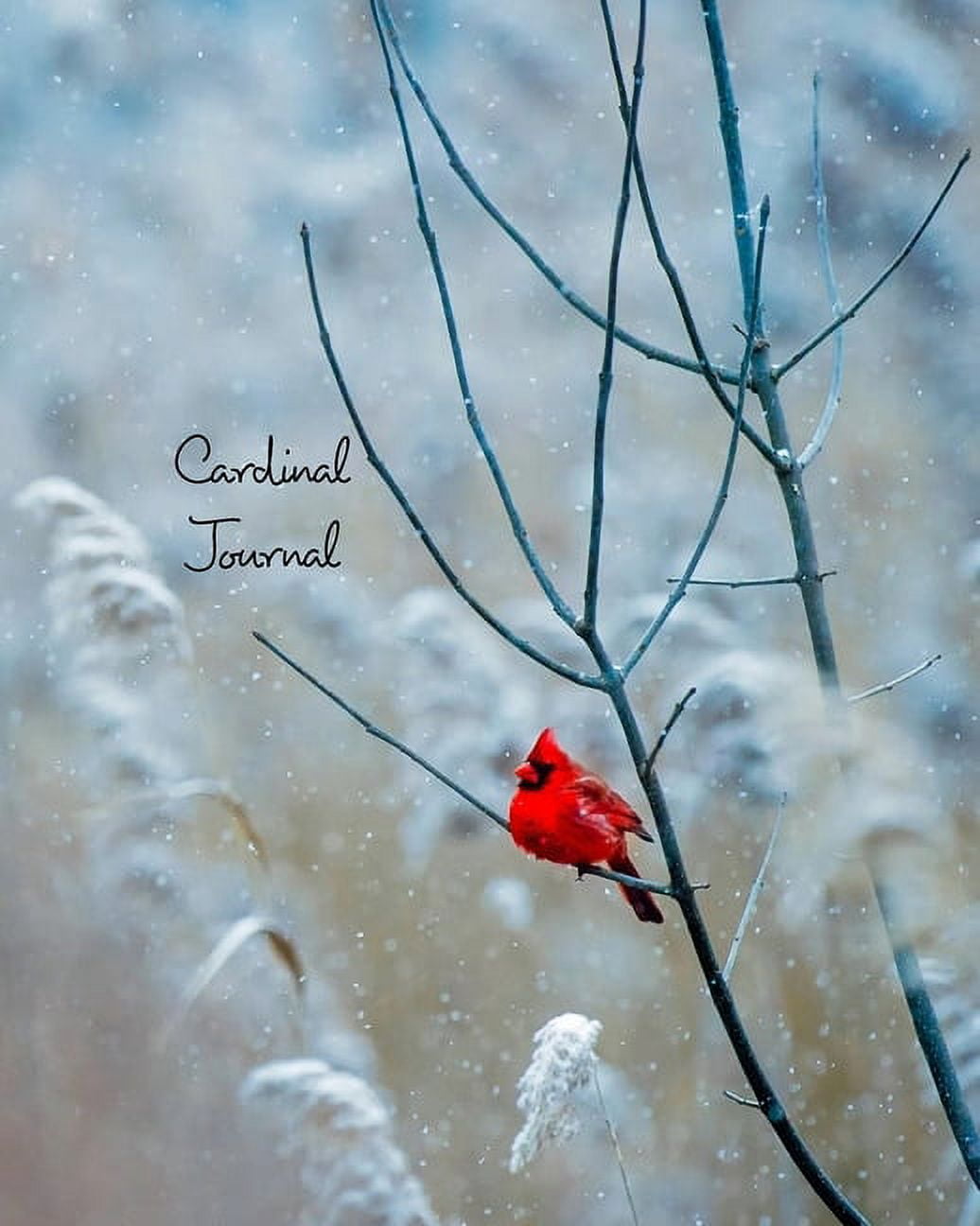 Cardinal Journal: Inspirational, Winter Season, Cardinal Bird Notebook ...