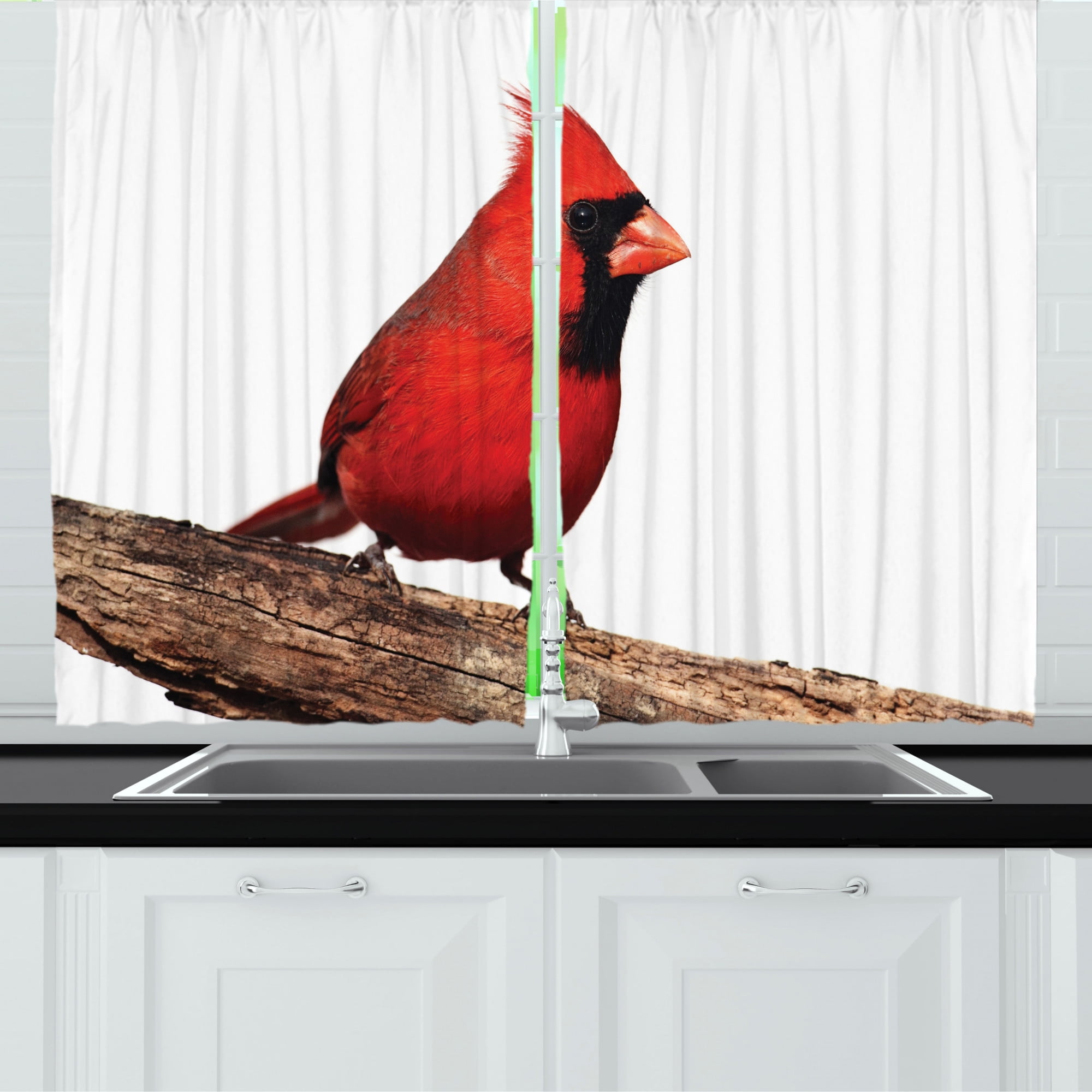 Cardinal Kitchen Curtains, Bird in Forest Wood Suspicious Look Fauna ...
