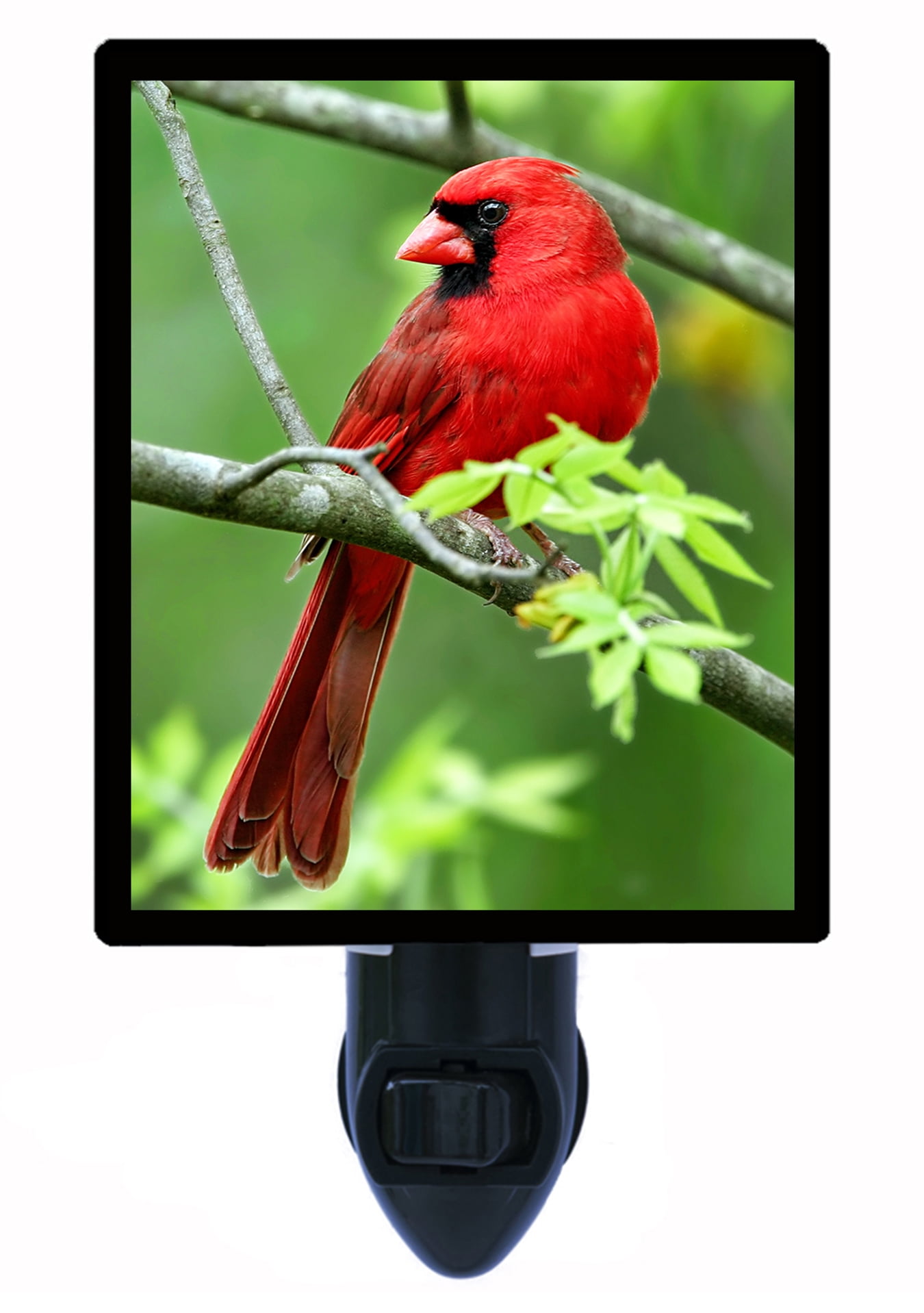 Night Light - Red Bird. | Cardinal Theme, Includes Free Switchable ...
