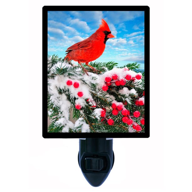 Cardinal Night Light Plus Extra Free Switchable Insert. 4 Watt Bulb ...