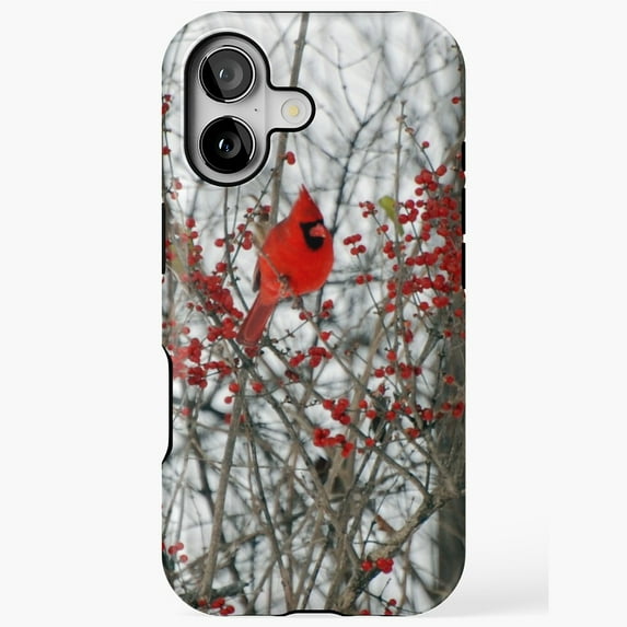Cardinal Red Bird Winter Tree Scene Phone Case for iPhone 17 through 11 ...