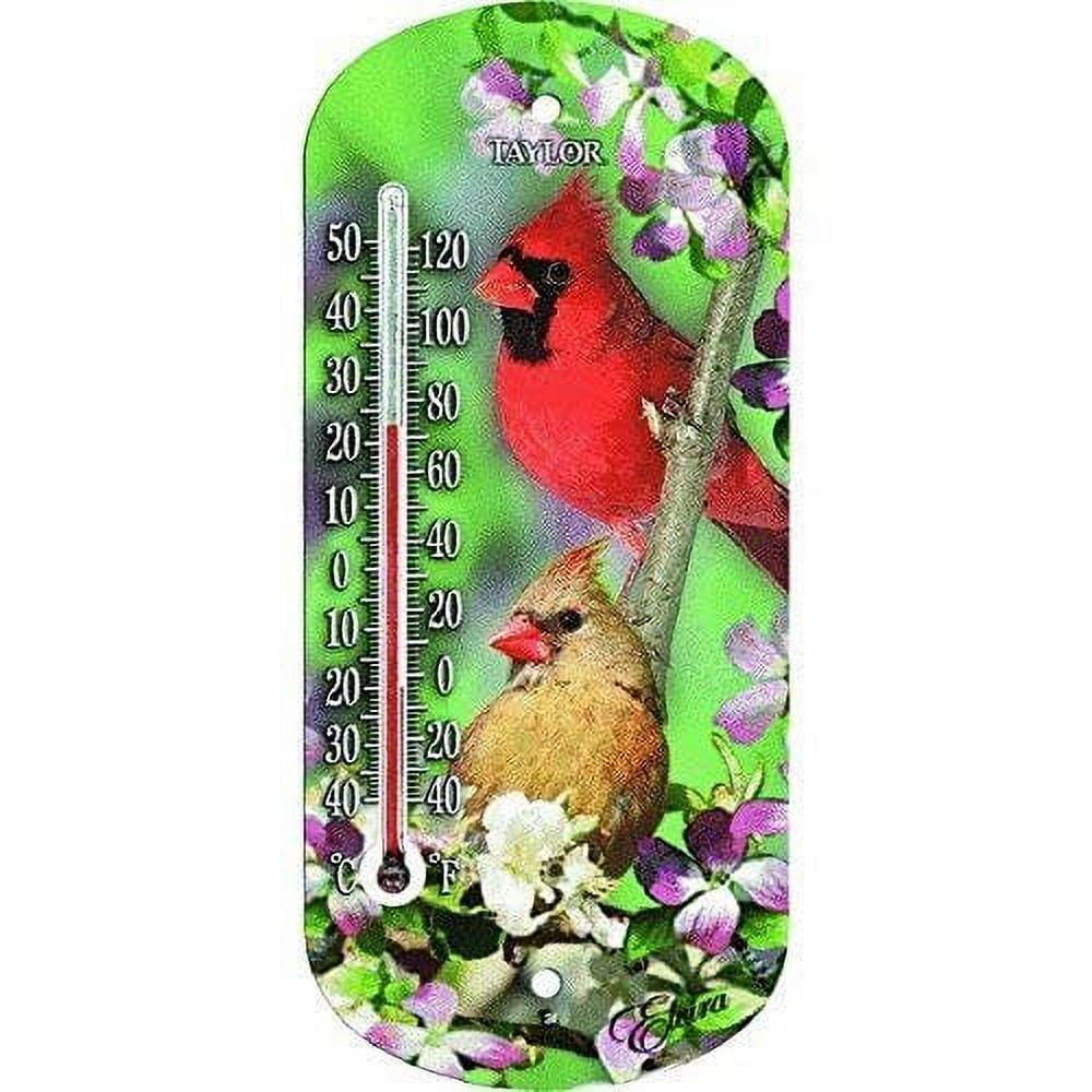 Taylor Cardinal Outdoor Window Thermometer - Analog Display ...